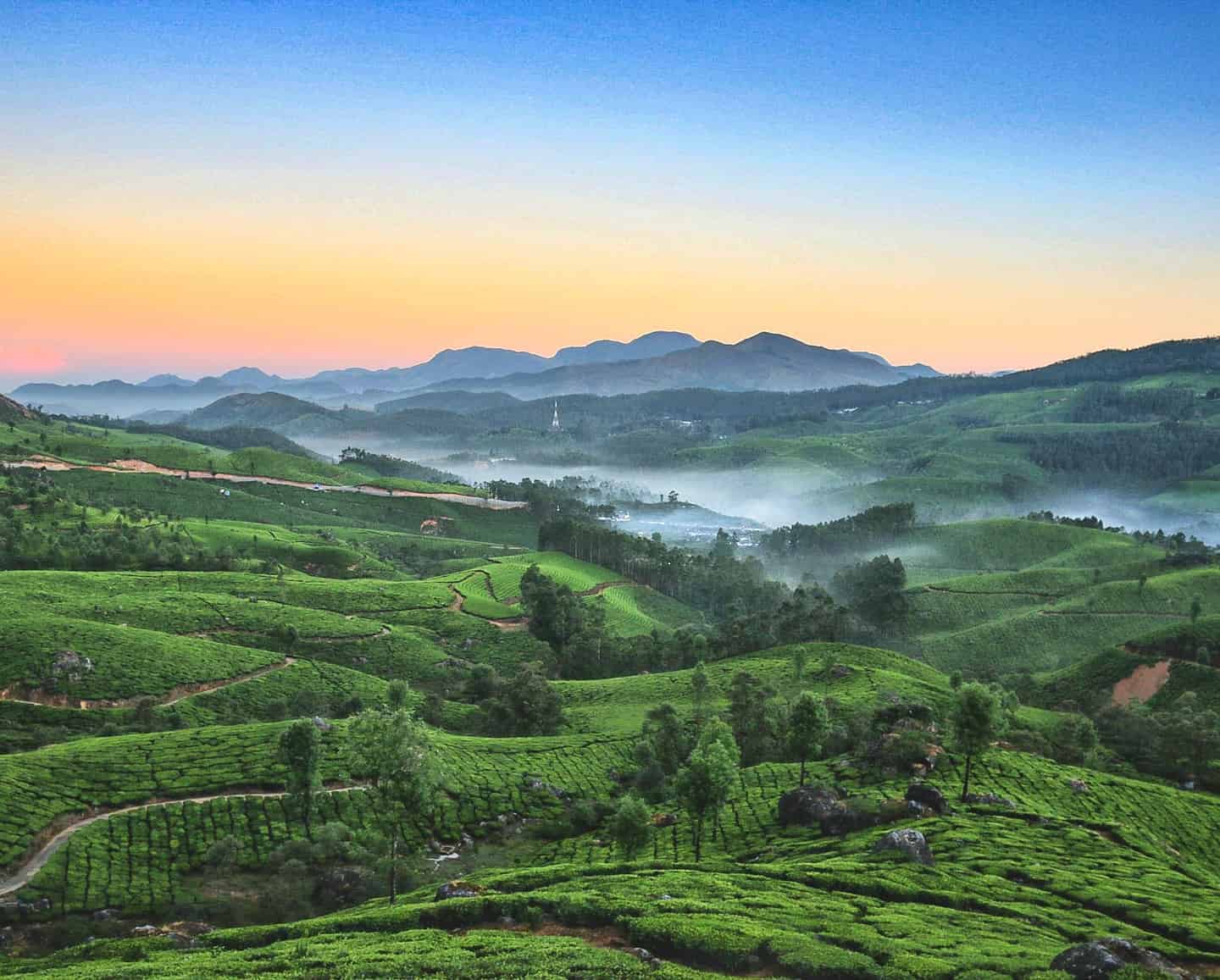 4 Nights 5 Days Tour Package to Munnar, Thekkady, Alappuzha (Alleppey)